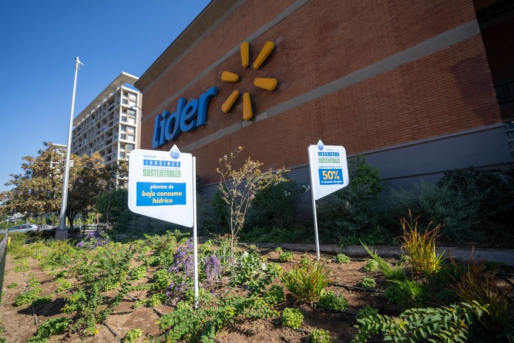 JES08991 – WalmartChile