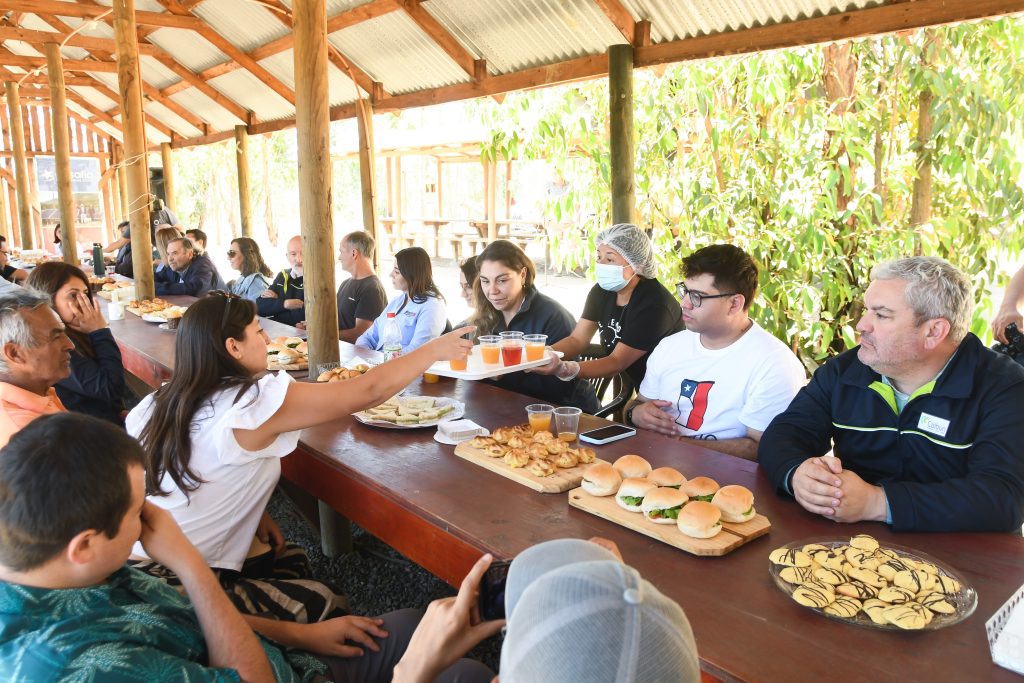 DSC_1011 – WalmartChile